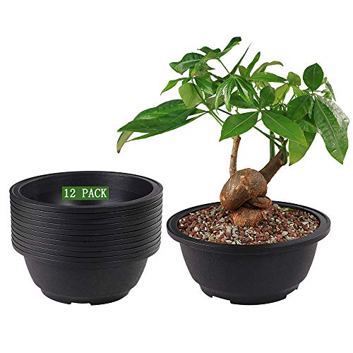 MUZHI 12 Pack Matte Finish Black Round Bonsai Bowl Planter Pot with Drainage, Plastic Garden Low Planter Pots 7.8"