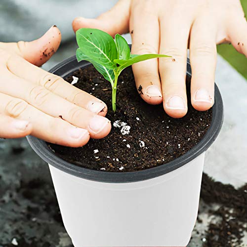 Plastic Plant Nursery Pots White Flower Seedling Starter Pots for Little Garden Pots to Repot Succulents and Plants (100PCS)