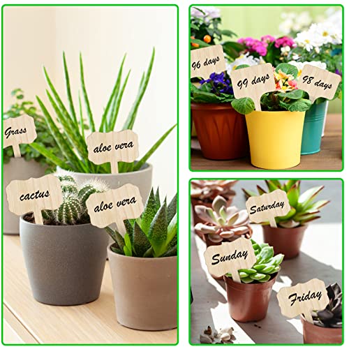 SKADADYL 50 Pcs Bamboo Plant Labels，Garden Plant Labels，Nursery Garden Labels with 1 Pcs Garden Pen (T-Style, 2.76*3.15inch)