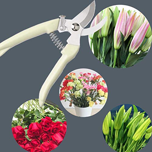 3CR13 Garden Shears farmer florist Pruner For garden picking fruit pruning regenerated branches, secateurs, white