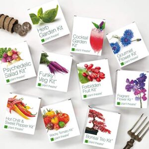 ﻿﻿Plant Theatre Cocktail Herb Growing Kit - Grow 6 Unique Indoor Garden Plants for Mixed Drinks with Seeds, Starter Pots, Planting Markers and Peat Discs - Kitchen & Gardening Gifts for Women & Men ﻿﻿﻿