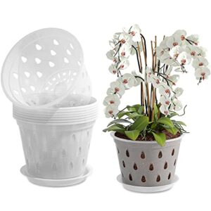 AAHGGBA Orchid Pot, 7 Inch 8 Pack Orchid Pots with Drainage Holes and Saucers Clear Plastic Orchid Pots Provide Good Air Circulation Garden Planters Pots for Indoor and Outdoor Use