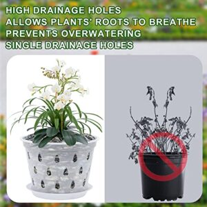 AAHGGBA Orchid Pot, 7 Inch 8 Pack Orchid Pots with Drainage Holes and Saucers Clear Plastic Orchid Pots Provide Good Air Circulation Garden Planters Pots for Indoor and Outdoor Use