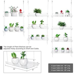 Clear Hanging Window Plant Shelves,Indoor Windows Wall Hanging Plant Stand Flower Display,Flower Pot Organizer Storage for Window Grow Herbs,Microgreens,Succulents,Flower (3 Layer)