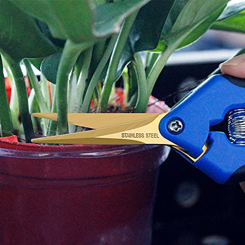 HOMEANING 1PC Pruning Shears with Curved Trimming Scissors, Blades Gardening Hand Pruning Snips Titanium Coated Precision Bonsai Pruning Shears, Convenient and Efficient Flower Cutters (Blue)