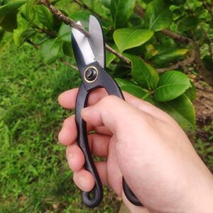 AssemHome Slim Bonsai Scissors Indoor Floral Arranging Gardening Tools Pruning Shears Springsteels Black 6.5 Inch for Hand Trimming of Flowers Plants