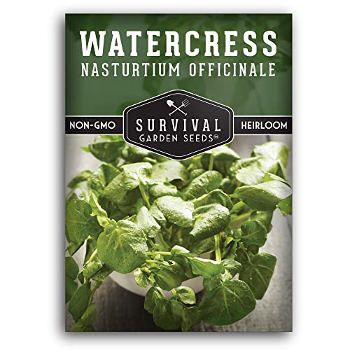 Survival Garden Seeds - Watercress Seed for Planting - Packet with Instructions to Plant and Grow Nasturtium officinale in Your Home Vegetable Garden - Delicious Superfood Non-GMO Heirloom Variety