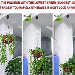 Ni Hong electron Plant Pulley Adjustable Hanging planters Flower Basket Hook，Retractable Planters Flower Basket Hook，Retractable Hook , for Garden Baskets pots Birds Feeder Hook（Black x3）