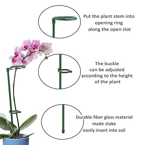 Plant Support Stakes Garden Stakes Plant Sticks Single Stem Flower Stakes, GAGINANG 6 PCS Plant Cage Stakes Rings with Fixed Buckle for Plant Flowers Orchid Peony Rose - 16 inches