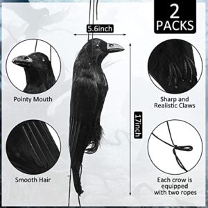 Lewtemi 2 Pcs 17 Inches Realistic Hanging Dead Crows Decoy Lifesize Black Feathered Crow Fake Black Crows for Garden Halloween Decorations