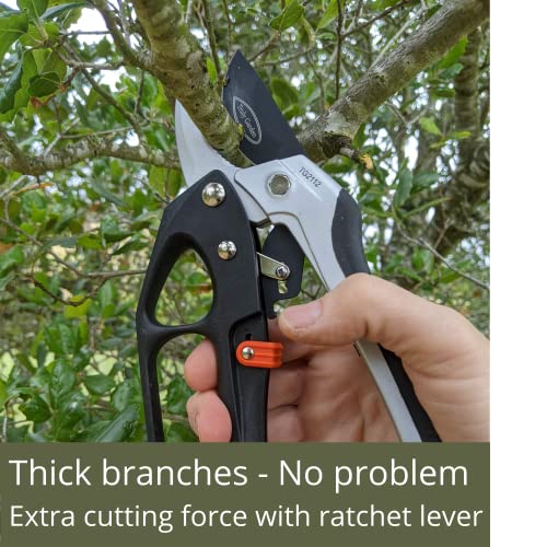 Heavy Duty Ratchet Pruner with Carbide Sharpener and Oil Sponge. These anvil style pruning shears double your cutting strength. Great for seniors or anyone with thick branches to cut. By Truly Garden