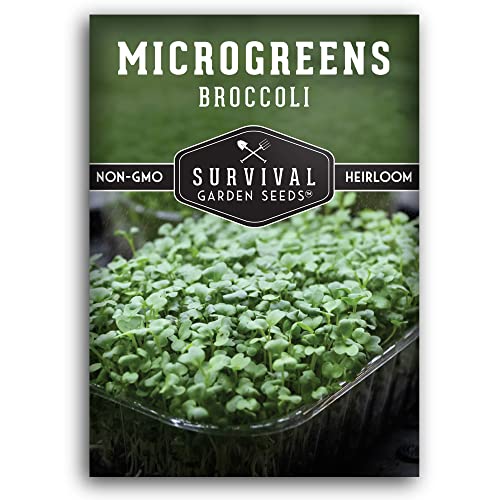 Survival Garden Seeds Broccoli Microgreens for Sprouting and Growing - Seed to Sprout Green Leafy Micro Vegetable Plants Indoors - Grow Your Own Mini Windowsill Garden - Non-GMO Heirloom Variety