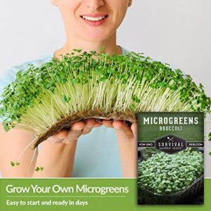 Survival Garden Seeds Broccoli Microgreens for Sprouting and Growing - Seed to Sprout Green Leafy Micro Vegetable Plants Indoors - Grow Your Own Mini Windowsill Garden - Non-GMO Heirloom Variety