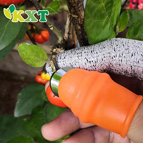 Thumb Knife for Garden, Finger Knife, Garden Gifts, Plants Picking Trim Tools-S