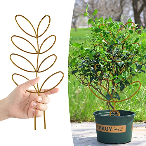 2Pcs Indoor Pot Plant Climbing Garden Trellis Gold Anti-Rust Metal Love Heart and Leaf Shaped Vines Climbing Support Bracket is a Creative Tool Gift for Gardening Lovers