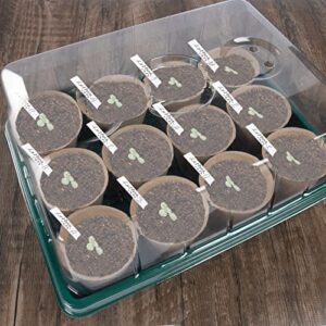 50 Pcs Peat Pots, Biodegradable Eco-Friendly Plant Seedling Starters Kit, Seed Germination Trays with 10 Plant Markers for Vegetable Tomato Saplings & Herb Seed Germination