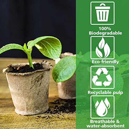 50 Pcs Peat Pots, Biodegradable Eco-Friendly Plant Seedling Starters Kit, Seed Germination Trays with 10 Plant Markers for Vegetable Tomato Saplings & Herb Seed Germination