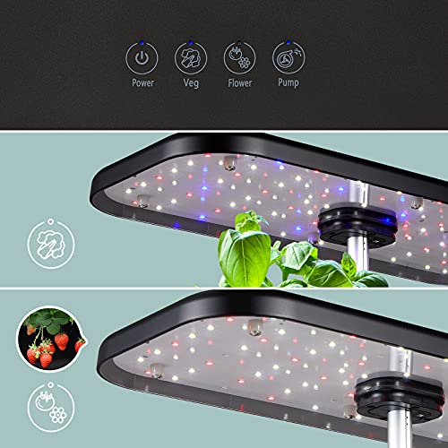 Luxbird Hydroponics Growing System, Indoor Herb Garden Starter Kit with LED Grow Light, Automatic Timer Smart Germination Kit for Kitchen Home Gardening, Height Adjustable (12 Pods)