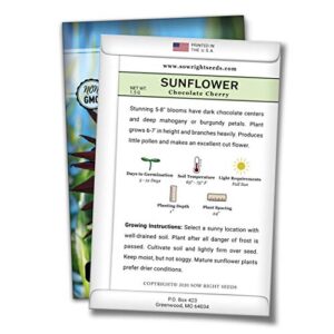 Sow Right Seeds - Chocolate Cherry Sunflower Seeds for Planting - Non-GMO Heirloom Packets with Instructions to Plant a Home Vegetable Garden (2)