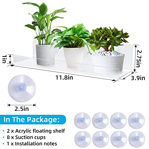 Window Shelf for Plants 12 Inch 2 Pack, Suction Cup Clear Acrylic Indoor Plant Shelf Window Ledge Garden- Window Sill Extender for Micro Greens Kit, Seed Starter Pots, Planters