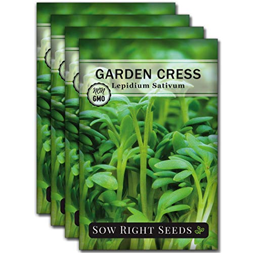 Sow Right Seeds - Cress Seed for Planting - All Non-GMO Heirloom Cress Seeds with Full Instructions for Easy Planting and Growing Your Kitchen Herb Garden, Indoor or Outdoor; Great Gift (4 Packets)