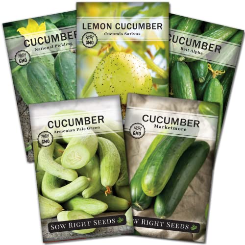 Sow Right Seeds - Cucumber Seed Collection for Planting - Armenian, Pickling, Lemon, Beit Alpha, Marketmore Variety Pack, Non-GMO Heirloom Seeds to Grow a Home Vegetable Garden, Great Gardening Gift