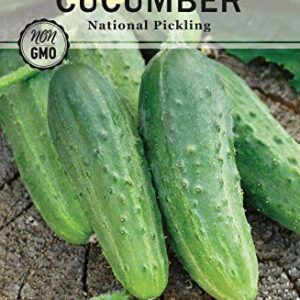 Sow Right Seeds - Cucumber Seed Collection for Planting - Armenian, Pickling, Lemon, Beit Alpha, Marketmore Variety Pack, Non-GMO Heirloom Seeds to Grow a Home Vegetable Garden, Great Gardening Gift