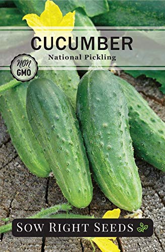 Sow Right Seeds - Cucumber Seed Collection for Planting - Armenian, Pickling, Lemon, Beit Alpha, Marketmore Variety Pack, Non-GMO Heirloom Seeds to Grow a Home Vegetable Garden, Great Gardening Gift