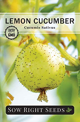 Sow Right Seeds - Cucumber Seed Collection for Planting - Armenian, Pickling, Lemon, Beit Alpha, Marketmore Variety Pack, Non-GMO Heirloom Seeds to Grow a Home Vegetable Garden, Great Gardening Gift