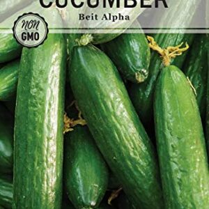 Sow Right Seeds - Cucumber Seed Collection for Planting - Armenian, Pickling, Lemon, Beit Alpha, Marketmore Variety Pack, Non-GMO Heirloom Seeds to Grow a Home Vegetable Garden, Great Gardening Gift