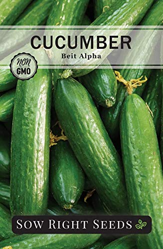 Sow Right Seeds - Cucumber Seed Collection for Planting - Armenian, Pickling, Lemon, Beit Alpha, Marketmore Variety Pack, Non-GMO Heirloom Seeds to Grow a Home Vegetable Garden, Great Gardening Gift