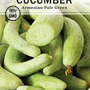 Sow Right Seeds - Cucumber Seed Collection for Planting - Armenian, Pickling, Lemon, Beit Alpha, Marketmore Variety Pack, Non-GMO Heirloom Seeds to Grow a Home Vegetable Garden, Great Gardening Gift