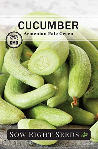 Sow Right Seeds - Cucumber Seed Collection for Planting - Armenian, Pickling, Lemon, Beit Alpha, Marketmore Variety Pack, Non-GMO Heirloom Seeds to Grow a Home Vegetable Garden, Great Gardening Gift