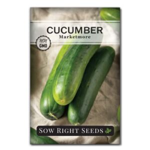 Sow Right Seeds - Cucumber Seed Collection for Planting - Armenian, Pickling, Lemon, Beit Alpha, Marketmore Variety Pack, Non-GMO Heirloom Seeds to Grow a Home Vegetable Garden, Great Gardening Gift