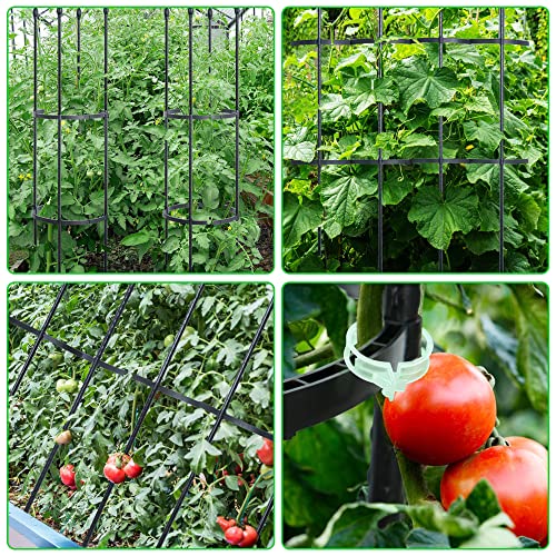 Garden Trellis 4 Pack 60" Tomato CageTall Plant Support Climbing Vines Flowers Stands,Plant Cages & Supports for Vines Crop Vegetable, Flowers,Potted Plants,with 60pcs Plant Clips