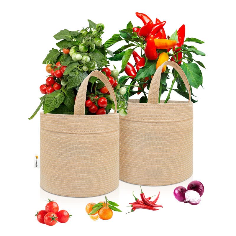 Artpuch Grow Bags 2 Pack 2 Gallon, Desert Sand Heavy Duty Fabric Pot with Handle HDPE Reusable Garden Plant Pots for Indoor/Outdoor