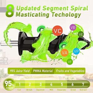 Cold Press Juicer, FEZEN Slow Masticating Juicer With 2 Speeds & Reverse Control, High Juice Yield & Pure Taste, Celery Juice Maker & Beetroot Juice Extractor for High Nutrient Fruits and Vegetables Juice, Easy to Clean, BPA Free