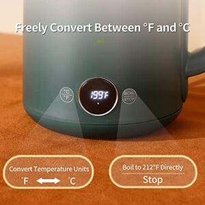 DmofwHi Electric Kettle with TEMP Digital Display(℉/℃), 1.5L Stainless Steel Electric Hot Water Kettle, Auto Shut Off, Boil-Dry Protection, 1200W Electric Tea Kettle for Tea -Deep Green