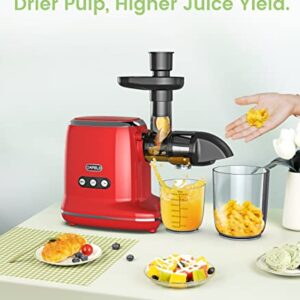 Juicer Machines, Orfeld Professional Cold Press Juicer Extractor Machine