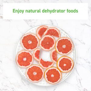 COSORI Food Dehydrator Machine Trays, BPA-Free Plastic Dryer Trays for Fruit, Meat, Beef jerky, Herb, Vegetable, CFD-TR051-WUS, 2Pack