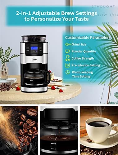 10-Cup Drip Coffee Maker, Grind and Brew Automatic Coffee Machine with Built-In Burr Coffee Grinder, Programmable Timer Mode and Keep Warm Plate, 1.5L Large Capacity Water Tank,900W, Black