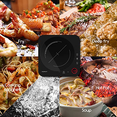 Aigostar Portable Induction Cooktop, Induction Burner with 8 Level Temp ​Setting Between 140°F-460°F, Timer, Electric Countertop Burner with LED Display, Child Safety Lock, Auto-Shut-Off