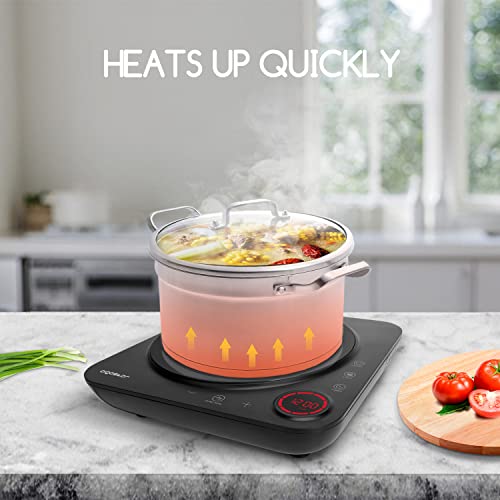 Aigostar Portable Induction Cooktop, Induction Burner with 8 Level Temp ​Setting Between 140°F-460°F, Timer, Electric Countertop Burner with LED Display, Child Safety Lock, Auto-Shut-Off