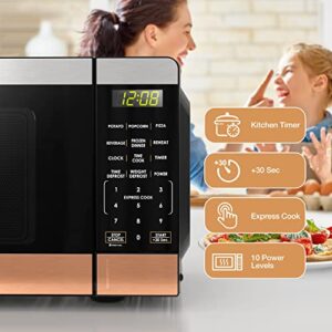 JOY Kitchen Compact Countertop Microwave Oven with LED Display, 6 Auto-Preset Menus, Child Lock, Defrost & Express Cooking Features, 0.7 Cu. Ft. 700W, Stainless Steel