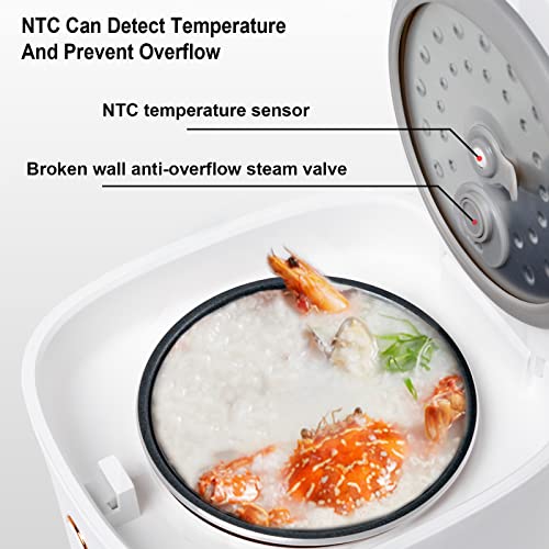 RUNHU Rice Cooker, 4 Cups Uncooked Mini Rice Cooker, 2L(2.1 QT) Protable Rice Cooker for 1-4 people, 120V Rice Maker with 24 Hours Timer Delay&Keep Warm Function for Soups,Stews,Grains,Oatmeal (White)