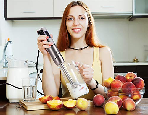 CHEW FUN Multipurpose Immersion Hand Blender Poweful 500 Watt,9-Speed,High Power Low Noise,3-in-1 includes Detachable Chopper,Egg Whisk,Milk Frother