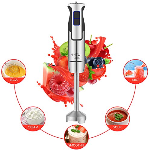 CHEW FUN Multipurpose Immersion Hand Blender Poweful 500 Watt,9-Speed,High Power Low Noise,3-in-1 includes Detachable Chopper,Egg Whisk,Milk Frother