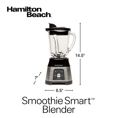 Hamilton Beach Smoothie Smart Blender with 5 Functions Including Auto-Cycle For Shakes & Smoothies, 40oz Glass Jar Dial, Stainless Steel (56208)