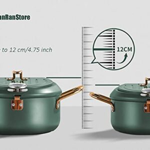 RANRAN Japanese Tempura Deep Fryer Pot with Thermometer and lid 20 cm / 8 inches 2200ml 2.3 Quart with nonstick coating Mini Deep Fryer tempura/chicken/fish/shrimp Perfect for Couples (Green Black) Easy Clean RRSRSYZG