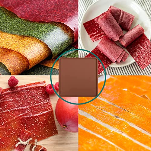 4 PCS Extra Thick Silicone Dehydrator Sheets With Edge - Silicone Fruit Vegetables Leather Dehydrator Trays for Liquids - Trays Liner for Dehydrator - Kitchen Dehydrator Mats Accessories